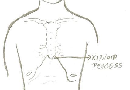 Xiphoid Process Location Function Pictures And Related