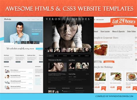 Awesome Html5 And Css3 Website Templates Design You Trust