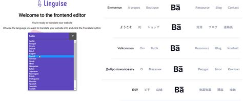 How To Translate WordPress Menu Items