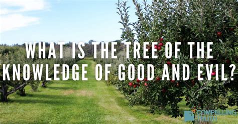 What Is The Tree Of The Knowledge Of Good And Evil Compelling Truth