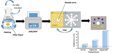 Schematic Illustration For In Situ Hydrothermal Growth Of Fezns Download Scientific Diagram