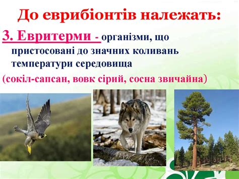 Закономірності впливу екологічних чинників на організми та їхні угруповання презентация онлайн