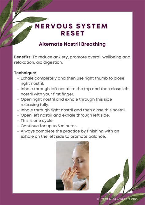 Nervous System Reset The Holistic Coach