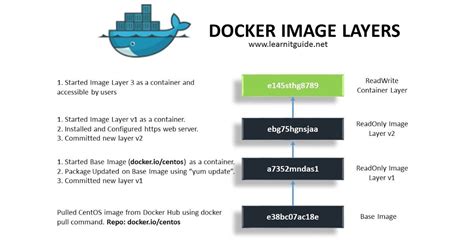Docker Images Explained With Examples Docker Tutorial Dockers Social Networking Sites