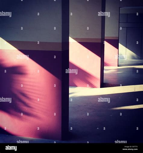 Tree Cast Shadow Hi Res Stock Photography And Images Alamy