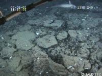 Trashcan Dataset Object Detection Dataset By Applied Machine Learning