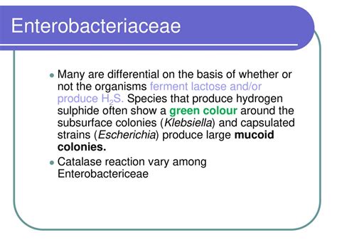 Enteric Gram Negative Aerobes Rods Ppt Download