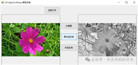 【技术大揭秘】c Opencvsharp：颠覆认知的颜色反转技巧！opencvsharp源码赏析 Csdn博客