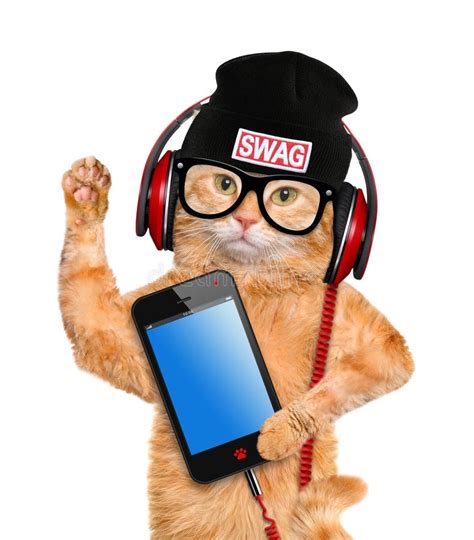 Кот в наушниках стоковое фото изображение насчитывающей самомоднейше