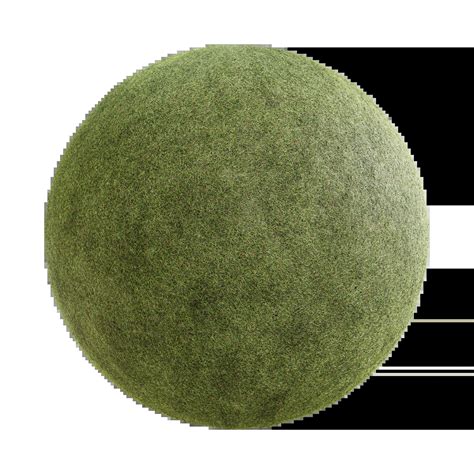 Grass Pbr Texture