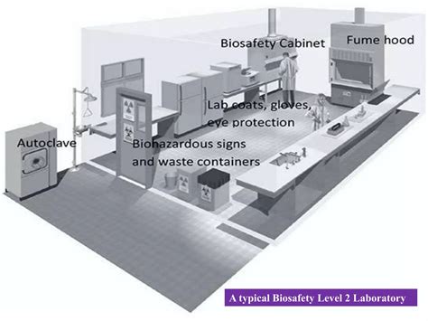 Laboratory Oranization And Biosafety Requirements Of Microbiology