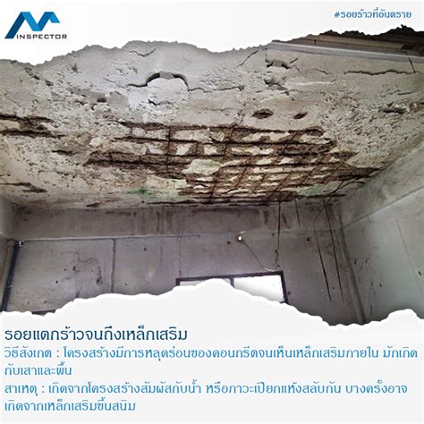 ประเภทของ รอยร้าว Sigma Six ตรวจบ้าน ตรวจคอนโด โดยวิศวกรมืออาชีพ