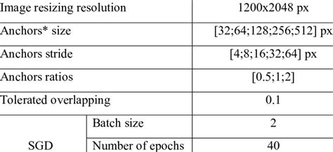 Training Hyper Parameters Settings Download Scientific Diagram