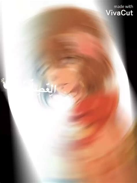 اجمل صور هيبارا Youtube