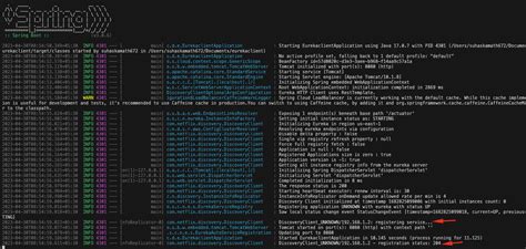 Spring Boot Eureka Client With Examples Dot Net Tutorials