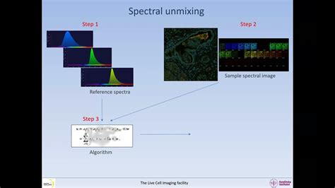Spectral Unmixing Workshop Youtube