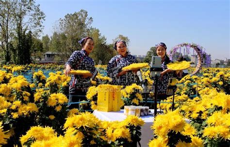 江西上栗直播带货到田间 人民图片网