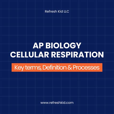 Ap Biology Cellular Respiration Key Terms Definition And Processes
