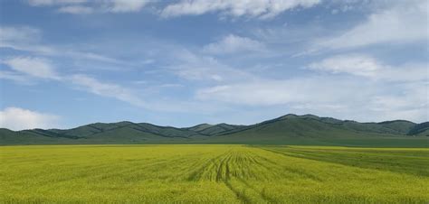 ЦУОШГ Наймдугаар сарын цаг агаарын урьдчилсан төлөв Humanz