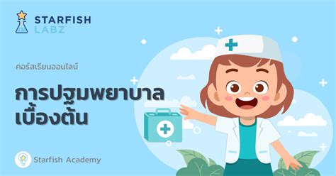 การปฐมพยาบาลเบื้องต้น › คอร์ส › หน้าหลัก