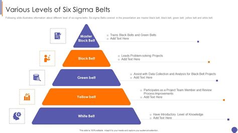 Contents For Qa Plan And Process Set 3 Various Levels Of Six Sigma