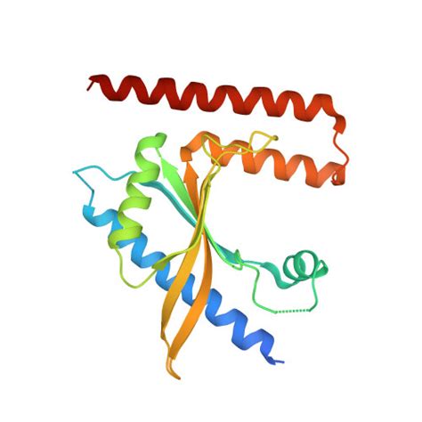 Rcsb Pdb 6fgk Crystal Structure Of The Small Alarmone Synthethase 2 From Bacillus Subtilis