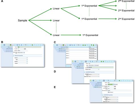 Lam Pcr Workflow And The Corresponding Adlims Automated Process The Download Scientific