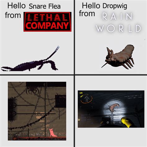 Dropwigs In 2d Or 3d Take Your Pick Rrainworld