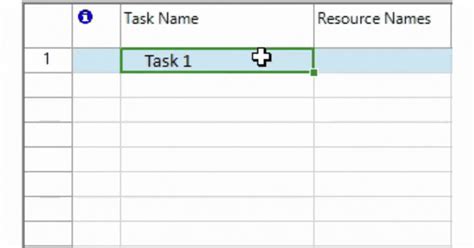 Fill In Grid Project Plan 365