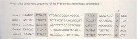 solved what is the consensus sequence for the pribnow box