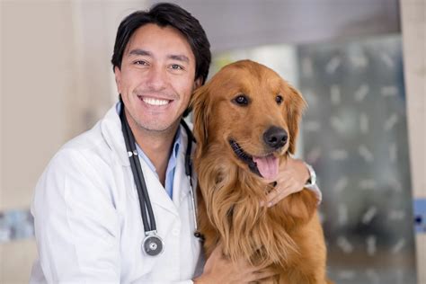 Is Justanswer Legit For Experts Heres Everything You Need To Know