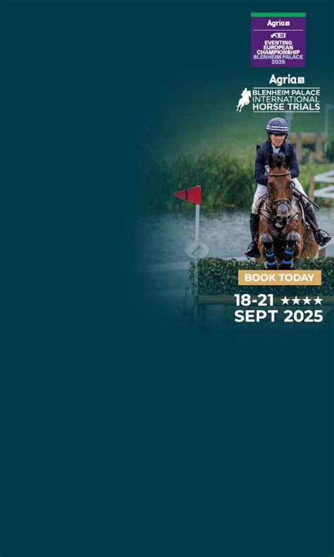 How To Win A Working Hunter Class Horse And Rider