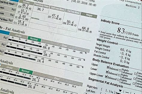 Inbody Body Composition Analysis Scanning — Drive Fitness Personal
