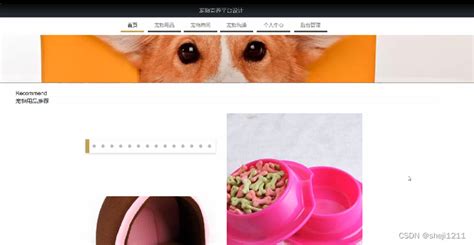 [附源码]node js计算机毕业设计宠物寄养平台设计express 宠物寄养前后端分离 csdn博客