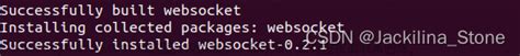 报错ModuleNotFoundError No module named websocket Toy模板网