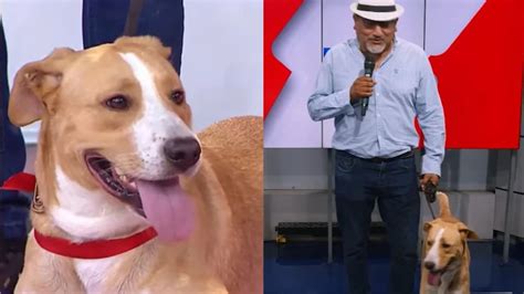 ‘vaguito Visitó El Set De ‘estás En Todas Y Tuvo Un Conmovedor Momento Con ‘choca Mandros