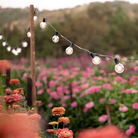 Solar String Lights Warm White