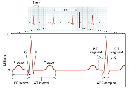 Assessment Of Cardiovascular Function A Mixed Course Based Research