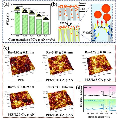 Porosity And Mean Pore Size Of Membranes Download Scientific Diagram