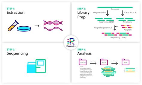 next generation sequencing ngs overview irepertoire inc