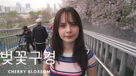 국제커플의 벚꽃 구경 Youtube