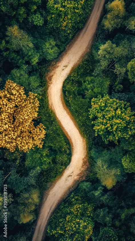 Bird S Eye View Of A Winding Dirt Path Splitting Into Two Separate