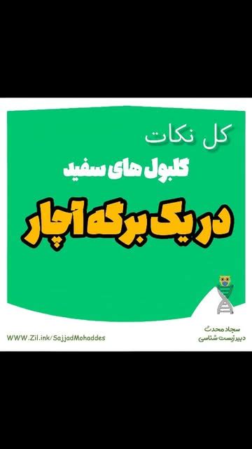 ‎سجاد محدث‎ ‎از پیروان راستین تجربی نیستی مگر یک عکس با این اسکلته تو‌ گوشیت داشته باشی😂🤝 ️‍🩹