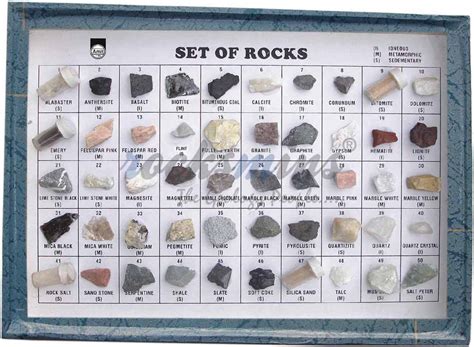 Collection Of Rocks Specimens Set Of 50 Rocks Specimens