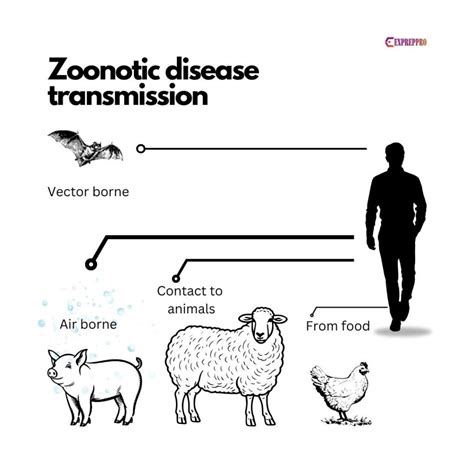 Brief Notes On Important Zoonotic Diseases Part One Upsc