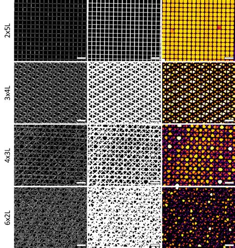 3 Workflow Of The Two Dimensional Local Thickness Analysis 2d Tloc Download Scientific