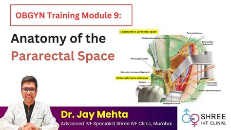 Obgyn Training Module 9 Anatomy Of The Pararectal Space Dr Jay Mehta Shree Ivf Clinic