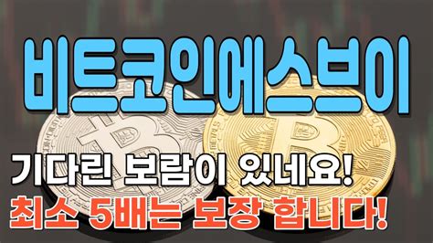 비트코인에스브이 기다린 보람이 있네요 최소 5배 보장 합니다 Youtube