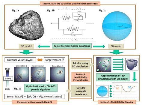 3d And 0d Cardiac Models 1 A 1 B And 1 C Our Multifidelity