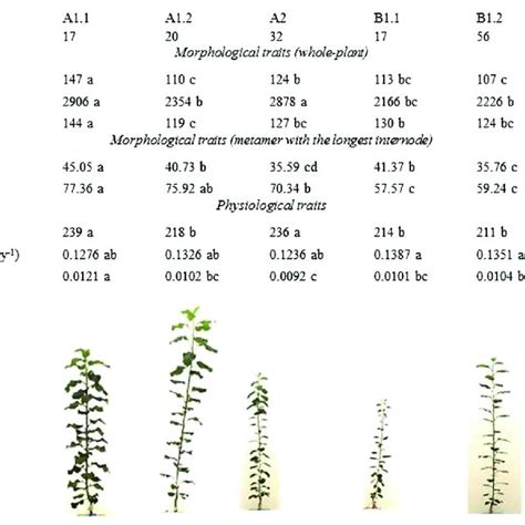 Illustration Of The Six Clusters Obtained From A Hierarchical Ascendant Download Scientific